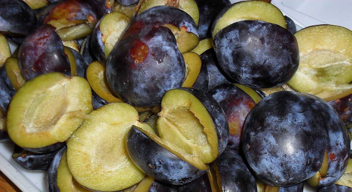 Šljiva voće koje obiluje vitaminima C, B1, B2, B6, beta karotena, vitamin E