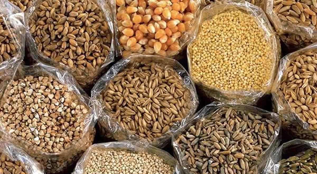 Žitarice - eliksir zdravlja