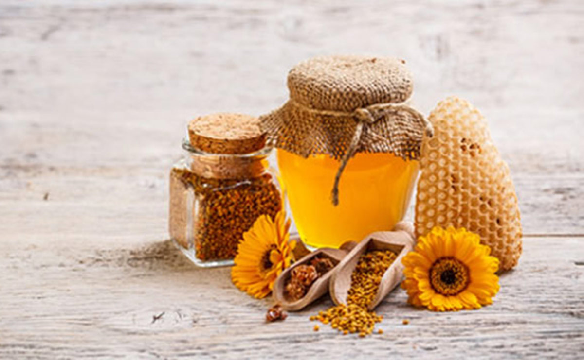 Apiterapija - Liječenje pčelinjim proizvodima - Med za sve prilike