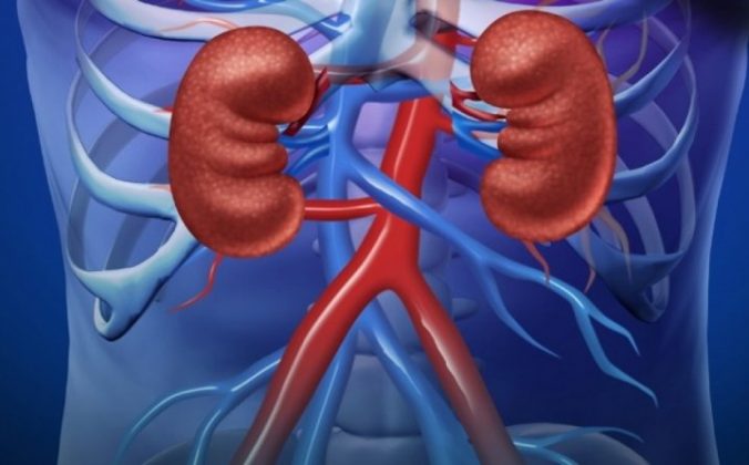RANI SIMPTOMI Oštećenje bubrega možete prepoznati već na samom početku