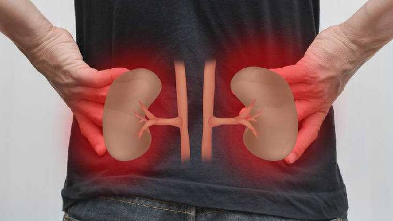 Akutna upala bubrega - Simptomi i Liječenje - Čaj za upalu bubrega