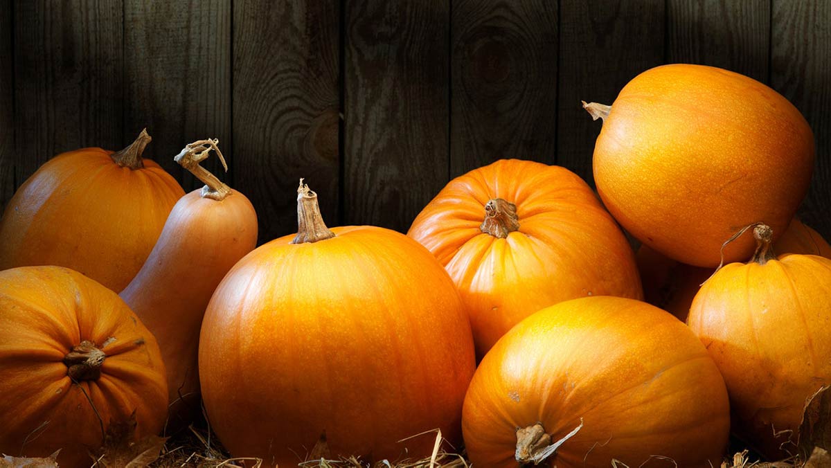 Bundeva kao lijek - Odlična hrana a još bolji lijek za nebrojene tegobe