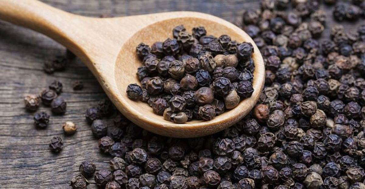Crni biber za vitiligo - Liječenje vitiliga pomoću ulja od crnog bibera
