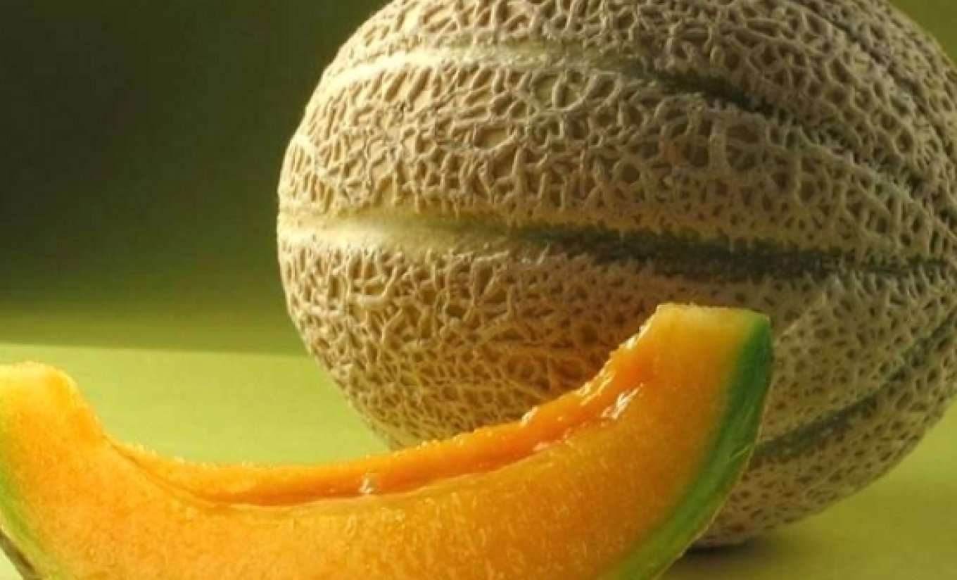 Dinja voće koje je puno vitamina i minerala, koštice dinje su ljekovite