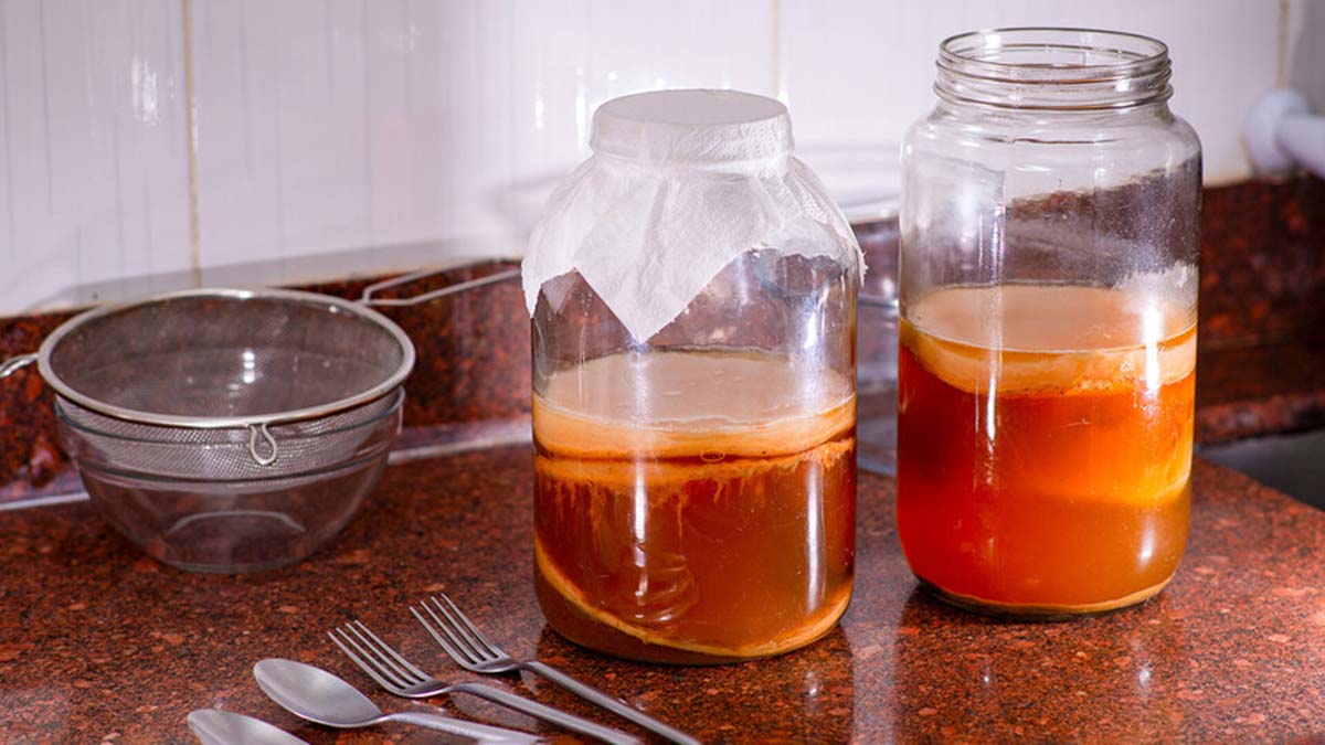 Kako se pravi i za šta je dobra kombuha gljiva?