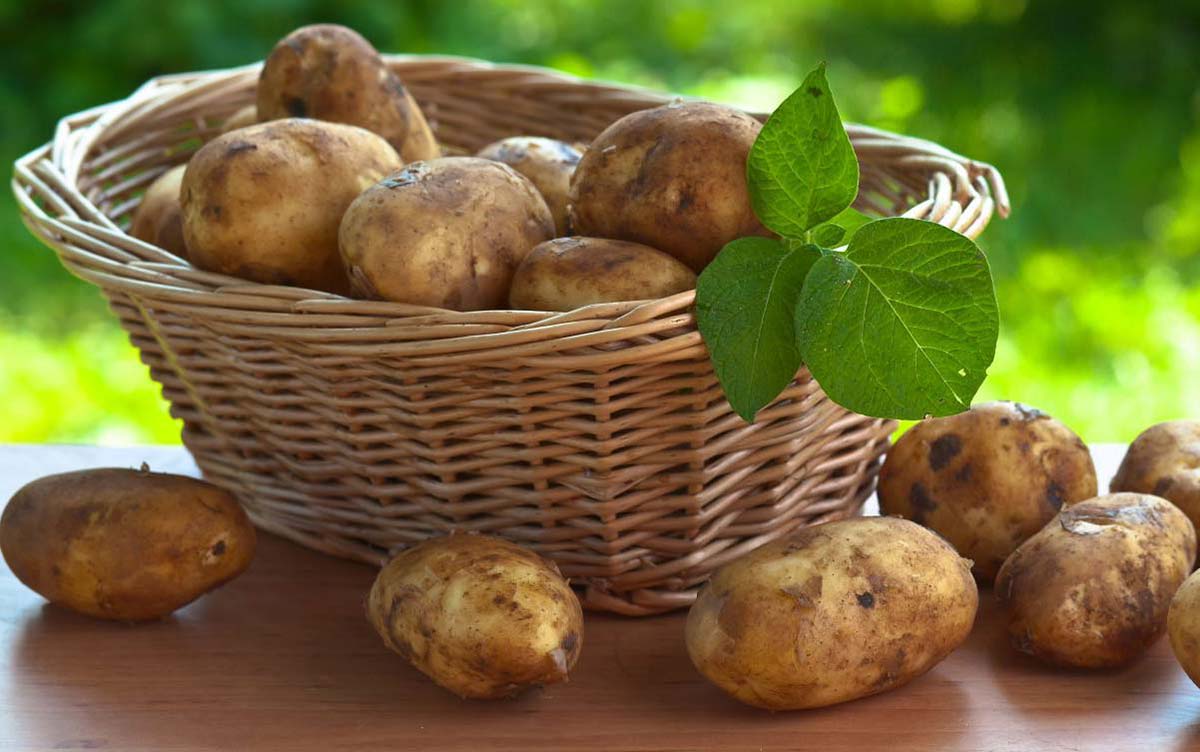 Evo koje sve benefite za zdravlje ima krumpir