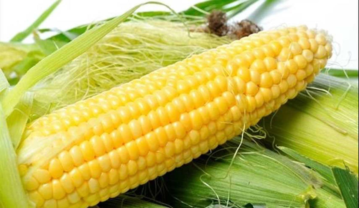 Kukuruz za zdravlje - 9 pogodnosti za šta je sve dobar kukuruz