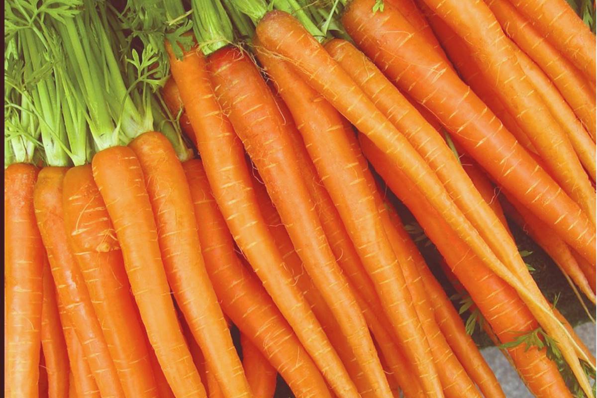 Mrkva kao lijek, ljekovitost mrkve i meda na usporen rad crijeva