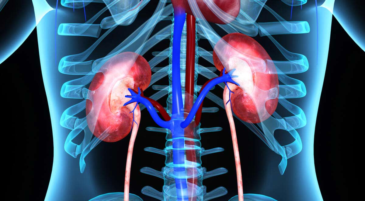 Simptomi koji na ranom početku ukazuju na oštećenje bubrega