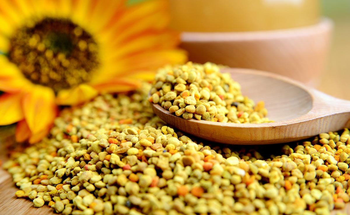 Pčelinji polen kao lijek i kako se koristi - Imunobomba za organizam