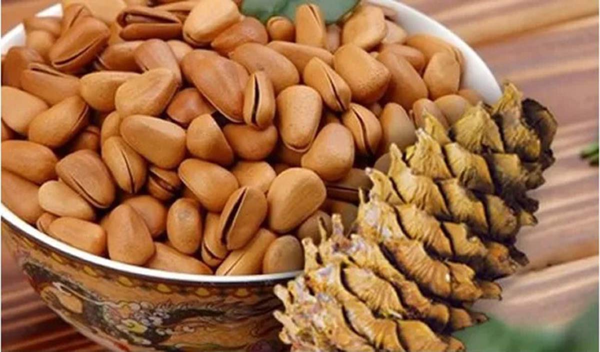 Zdravlje koje raste na boru – Šta su pinjoli i kako se koriste