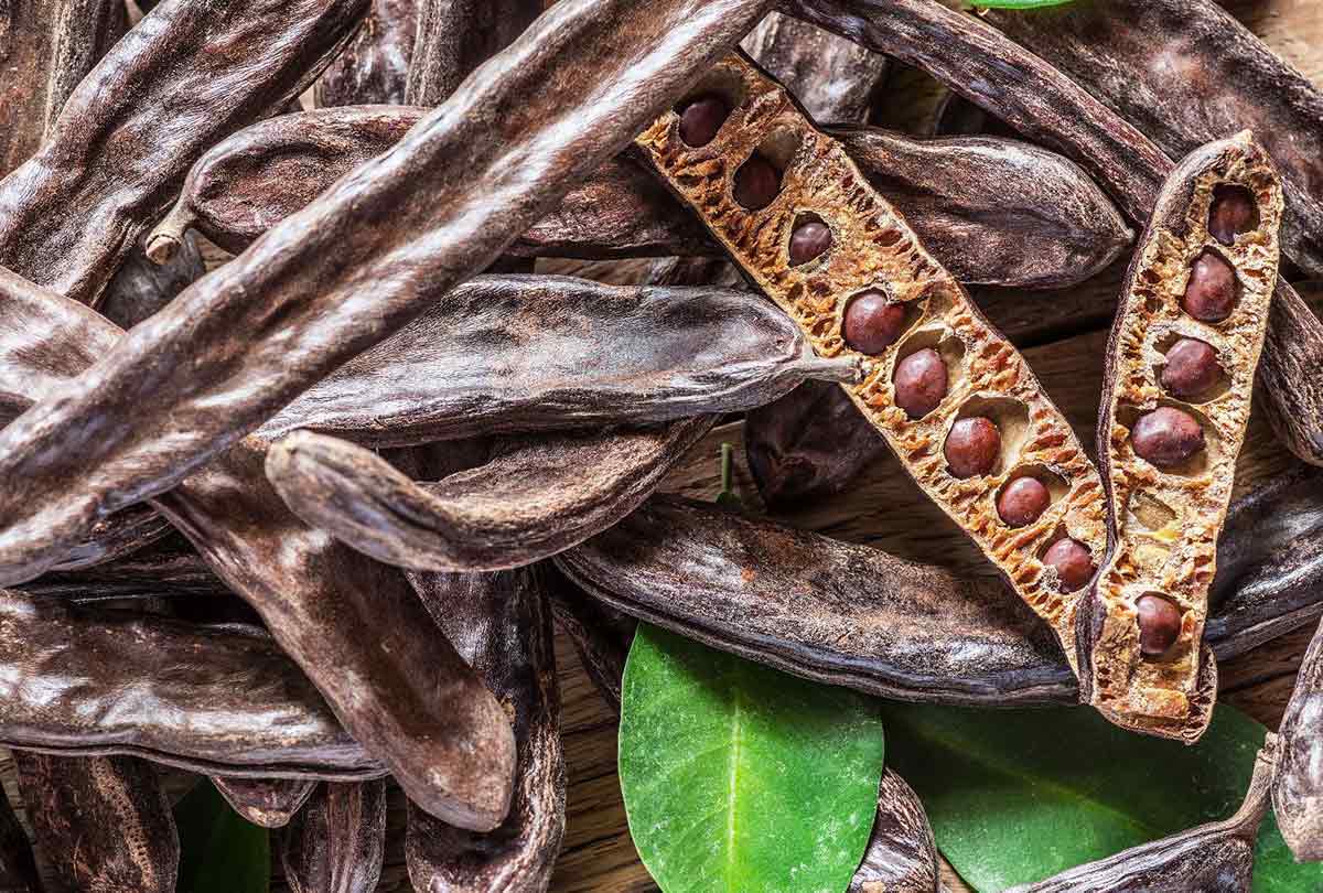 Rogač biljka - Ljekovita i jestiva mahunarka zlata vrijedna