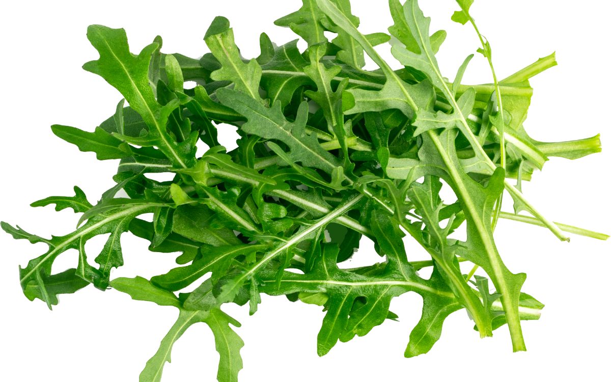 Da li rukola zaista poboljšava zdravlje i vitalnost?