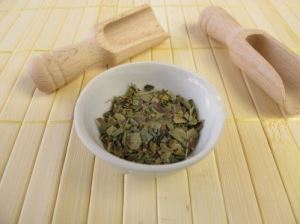 Ljekovita svojstva Sljeza