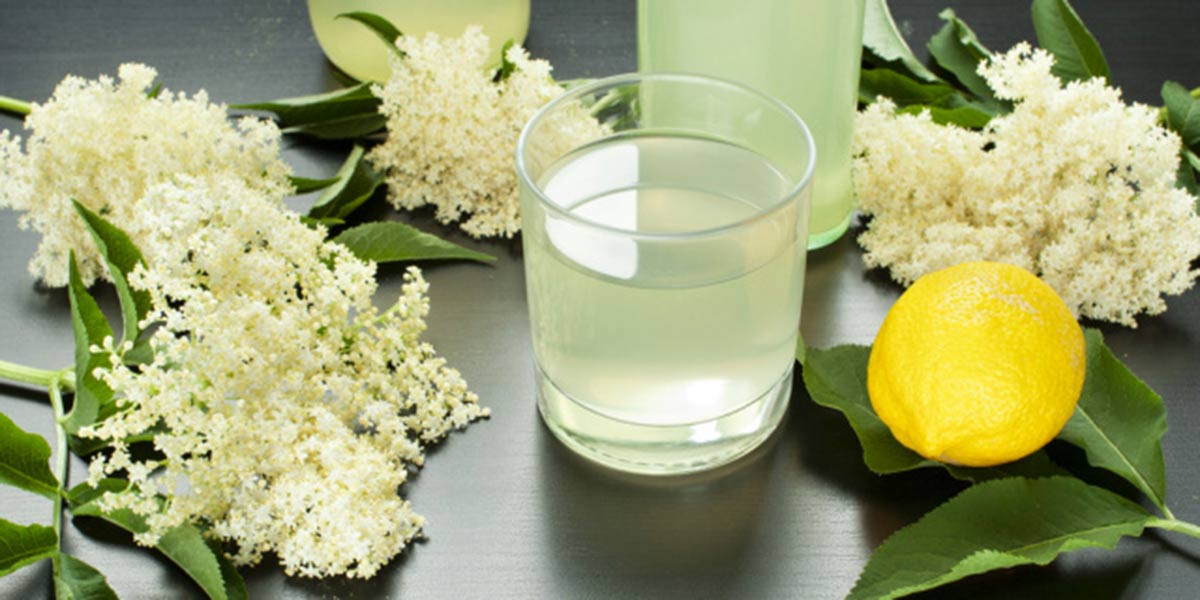 Sok od zove: Domaći bakin recept za sok s okusom proljeća